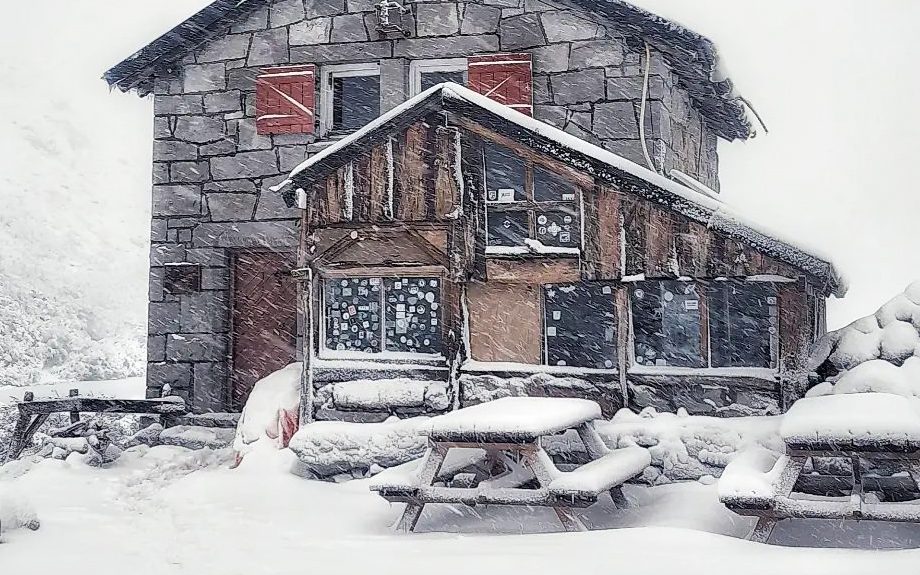 Deadly Snow Storms Sweep Mongolia; + Heavy Snow Traps Thousands In ...