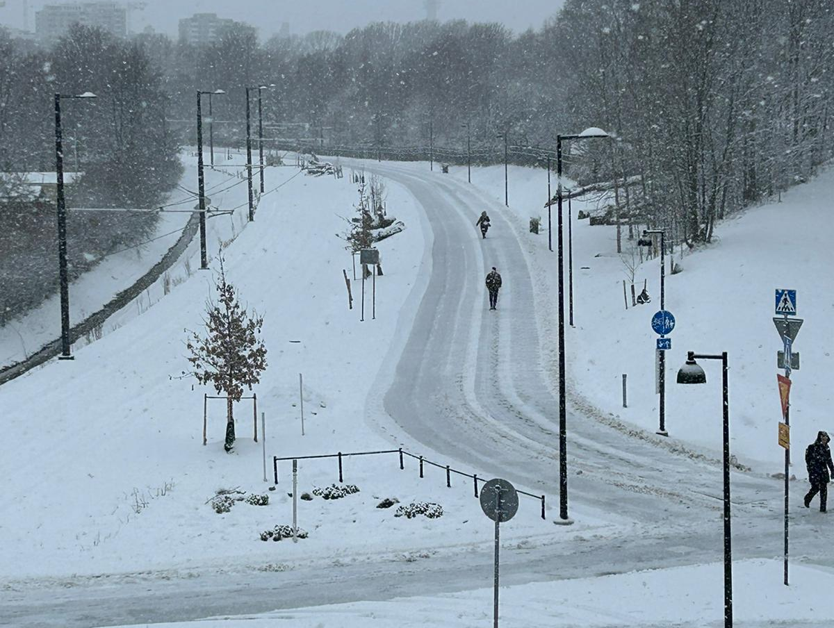 Europe Breaks Historic Low Temperature Records As Rare Spring Snow ...