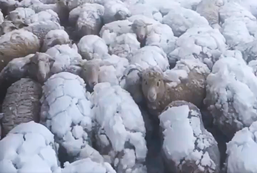 13 Feet Of September Snow For The Alps; Siberia’s Record Early-Season ...